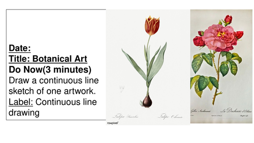 Botanical Art Cover lesson | Teaching Resources