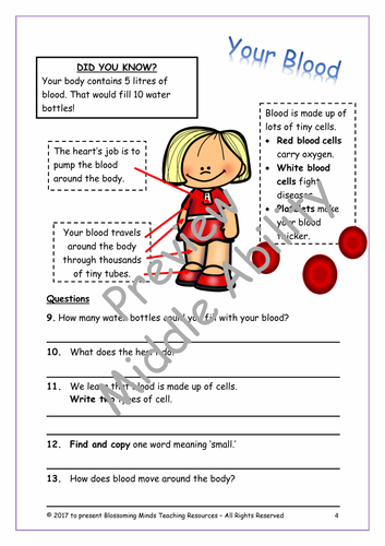 KS1 Reading - The Human Body Comprehension | Teaching Resources