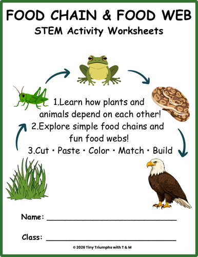 FOOD CHAIN & FOOD WEB /STEM Activity | Teaching Resources