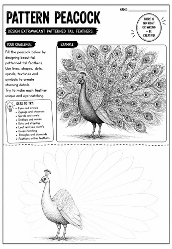 Pattern Peacock Art Worksheet | Zentangle Bird Drawing Activity | KS2 ...