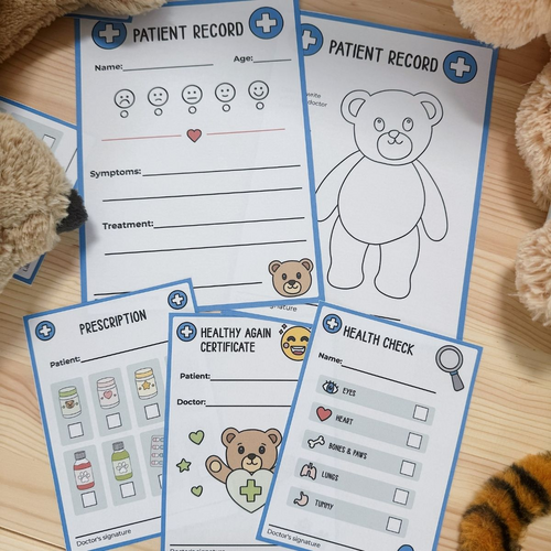 Play with Soft Toys - Hospital Pretend Play Printable | Teaching Resources