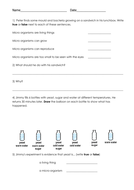 Science end-of-unit tests by mousethew - Teaching Resources - Tes