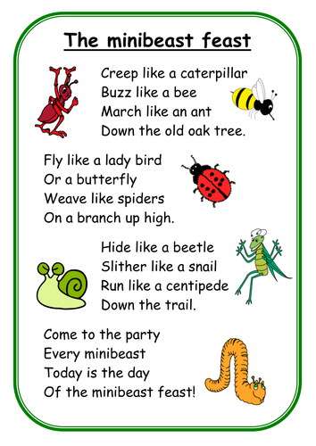 Minibeasts | Teaching Resources