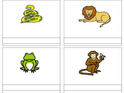 Dear Zoo literacy activities by Ibuzzybea - UK Teaching Resources - TES