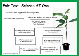 Fair Test | Teaching Resources