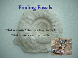 Finding Fossils | Teaching Resources