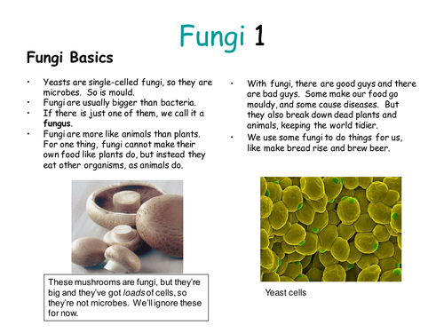 3 Types of Microbes Activity | Teaching Resources