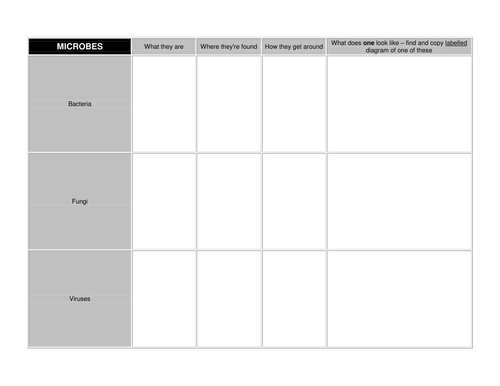 3 Types of Microbes Activity | Teaching Resources
