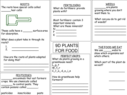 Plants for food revision | Teaching Resources