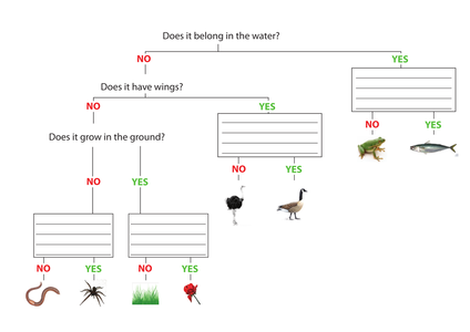 animalflowchart2.pdf