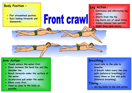 Frontcrawl.doc