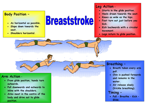 Swimming teaching cards | Teaching Resources