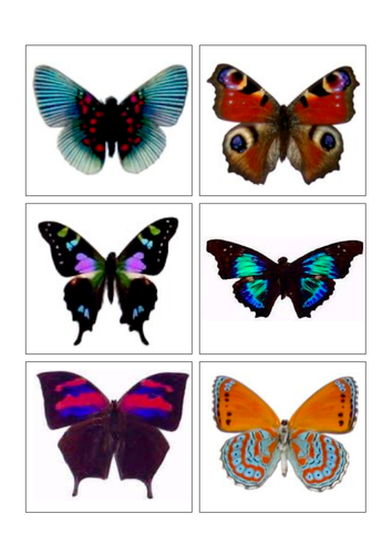 My Very Hungry Caterpillar Free Game - gifasr