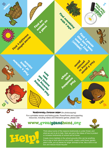 Biodiversity Thinking Walk for all ages 5-11 | Teaching Resources