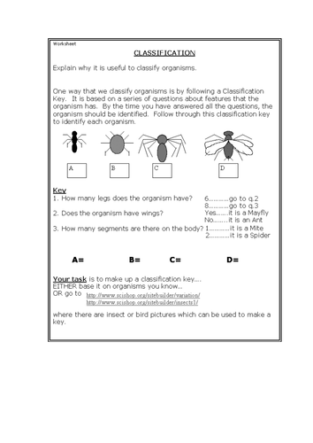 Classification worksheet HT | Teaching Resources