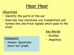 Ear: How we hear PowerPoint | Teaching Resources