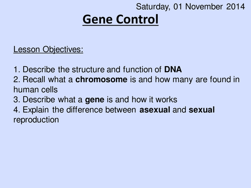 Gene control ppt HT | Teaching Resources