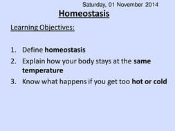 Homeostasis Simple HT | Teaching Resources