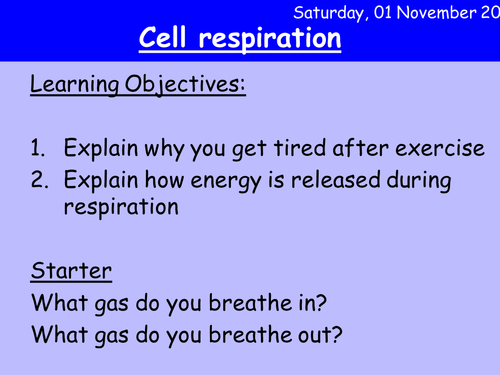 Cellular Respiration HT | Teaching Resources