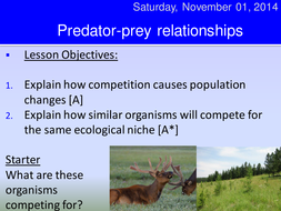 Predator prey curves HT | Teaching Resources