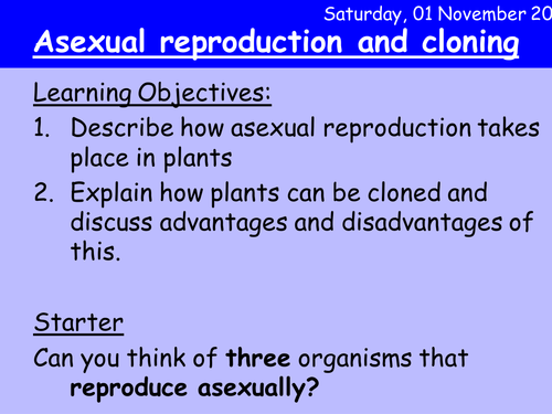Asexual cloning techniques in plants HT | Teaching Resources