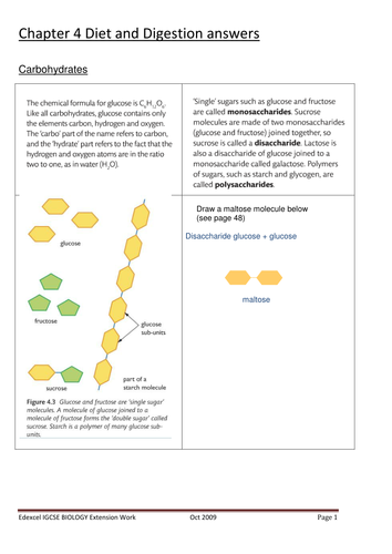 carbohydrates extension work iGCSE biology Edexcel | Teaching Resources