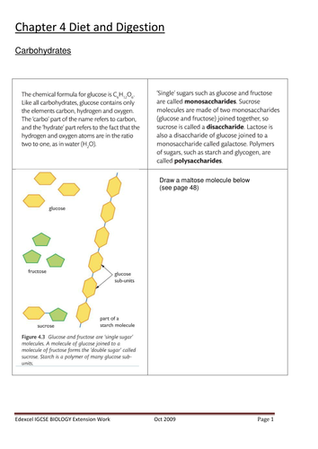 carbohydrates extension work iGCSE biology Edexcel | Teaching Resources