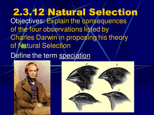 Natural Selection & Speciation | Teaching Resources