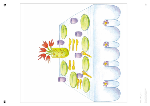 Counting to 7, lesson 1 | Teaching Resources