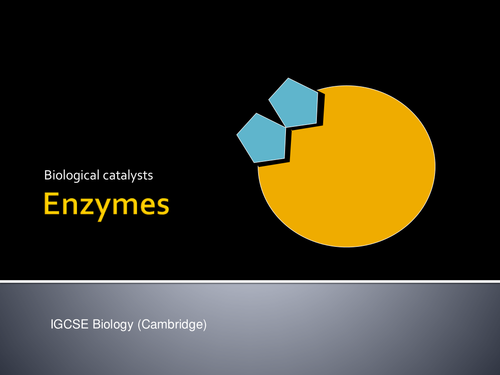 Powerpoint presentation and video on enzymes | Teaching Resources
