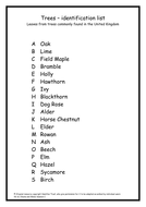 Leaf key | Teaching Resources