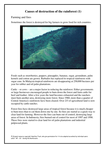 Causes of deforestation research | Teaching Resources