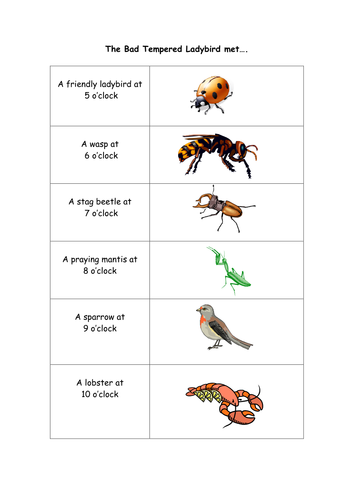 The Bad-Tempered Ladybird Teaching Resources | Teaching Resources