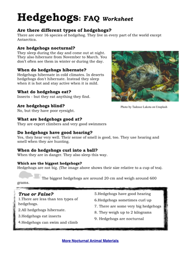 Nocturnal Animals - Fun Facts & FAQ | Teaching Resources