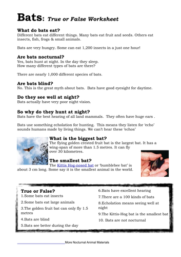 Nocturnal Animals - Fun Facts & FAQ | Teaching Resources