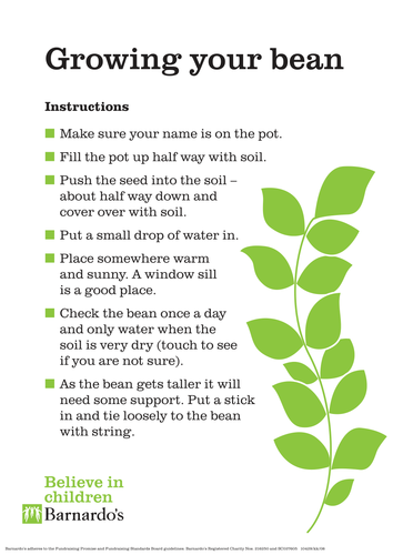 Barnardo's Big Bean Challenge | Teaching Resources