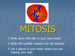 Mitosis lesson | Teaching Resources