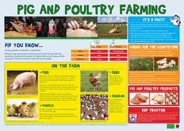 Why Farming Matters: Posters | Teaching Resources