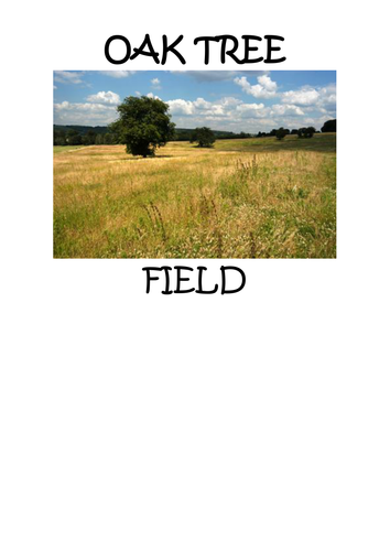 Rocks and Soils: The crop-rotation game | Teaching Resources