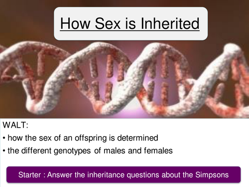 How Sex Is Inherited Teaching Resources 