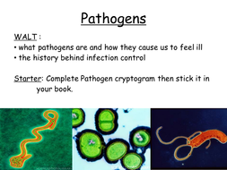Pathogens | Teaching Resources
