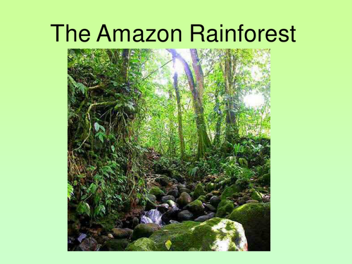 Amazon Rainforest | Teaching Resources
