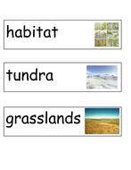 Habitats Vocab Cards | Teaching Resources