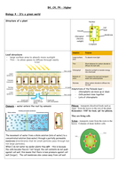 Science revision guides | Teaching Resources