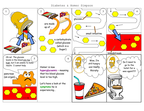 Controlling blood glucose levels | Teaching Resources