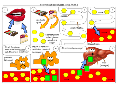 Controlling blood glucose levels by louisemurtha - UK Teaching ...