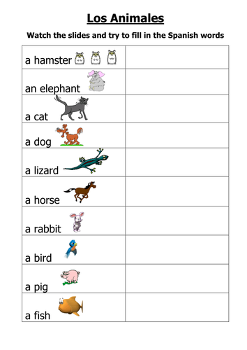 Animals introduction | Teaching Resources