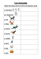 Whole lesson on animals, tener & adjectives | Teaching Resources