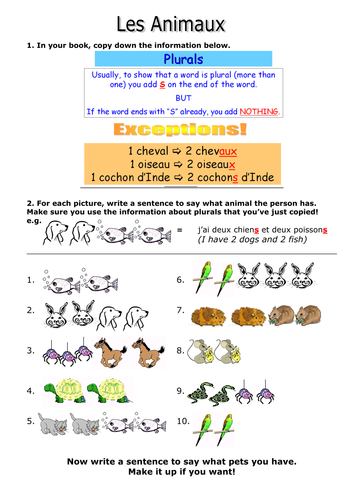 Work on plurals, using topic of animals | Teaching Resources