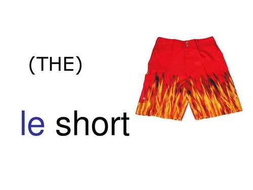 Use of THE, A & SOME in French (clothes vocab) | Teaching Resources